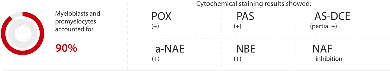 HemaBlog Issue 1: A Case Study on Acute Myelomonocytic Leukemia (AML-M4 ... HemaBlog Issue 1: A Case Study on Acute Myelomonocytic Leukemia (AML-M4 ...