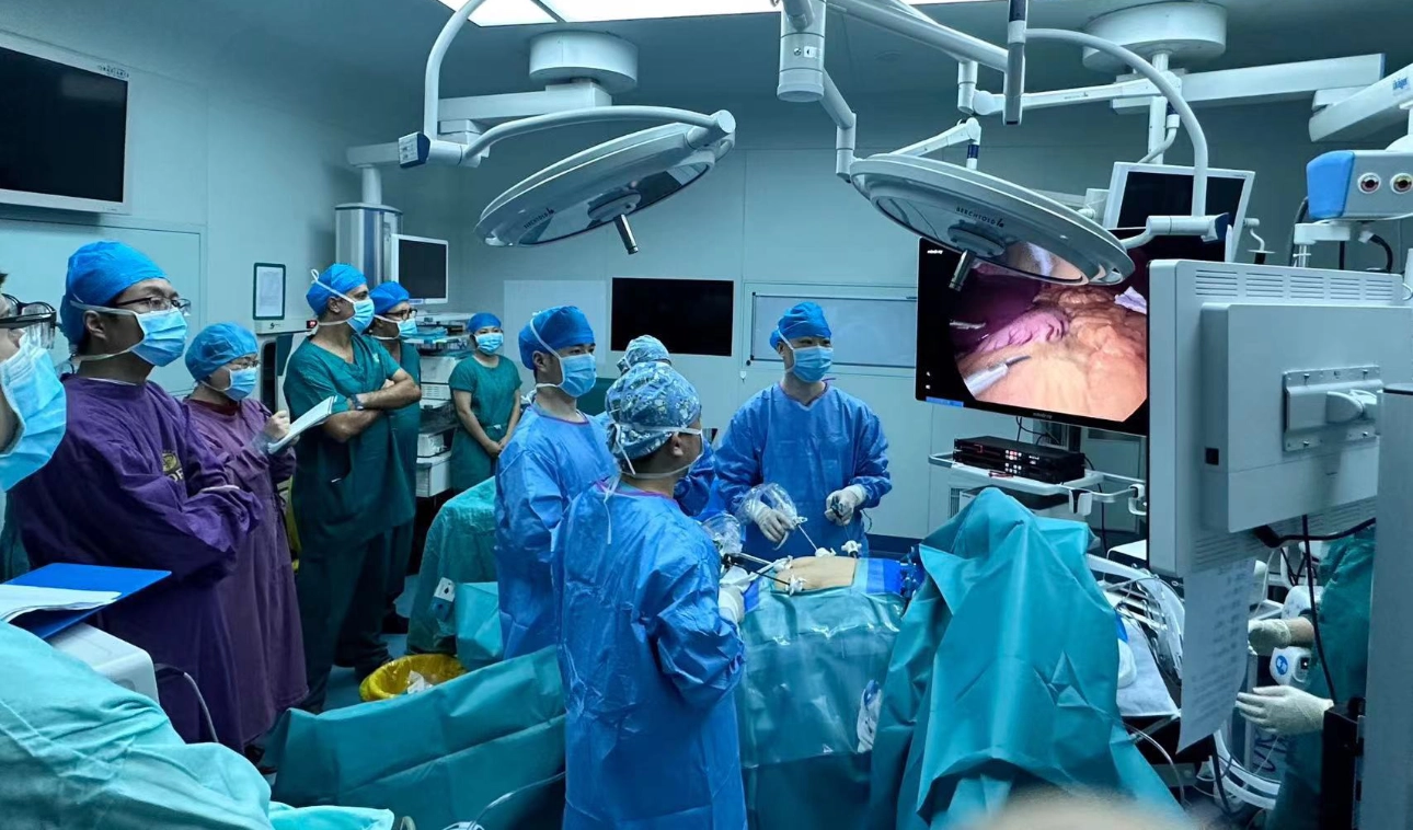 Exploring Bariatric Surgery: Insights from Leading Experts in Latin ...