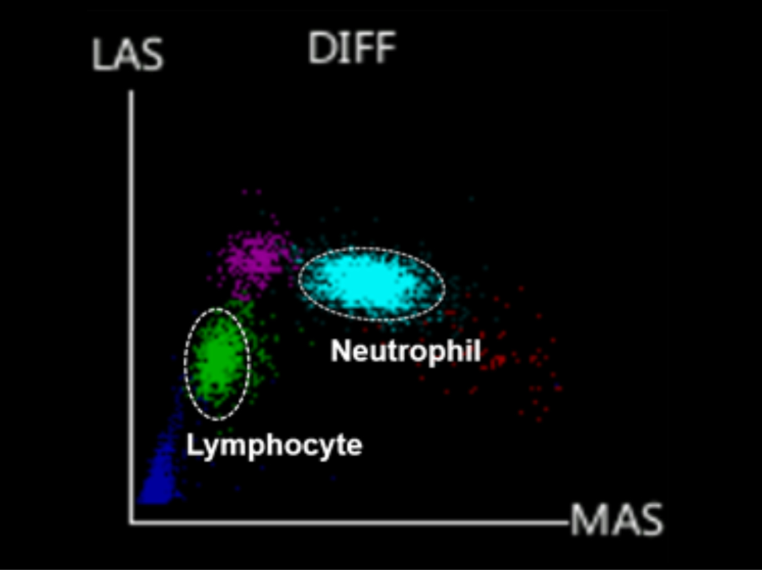 Auto 5-Diff Hematology Analyzer - BC-5150 - Mindray