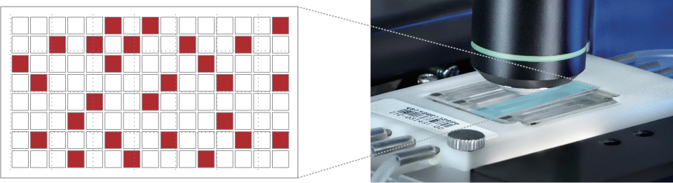 EH-2090 - Auto Urine Sediment Analyzer - Mindray Global