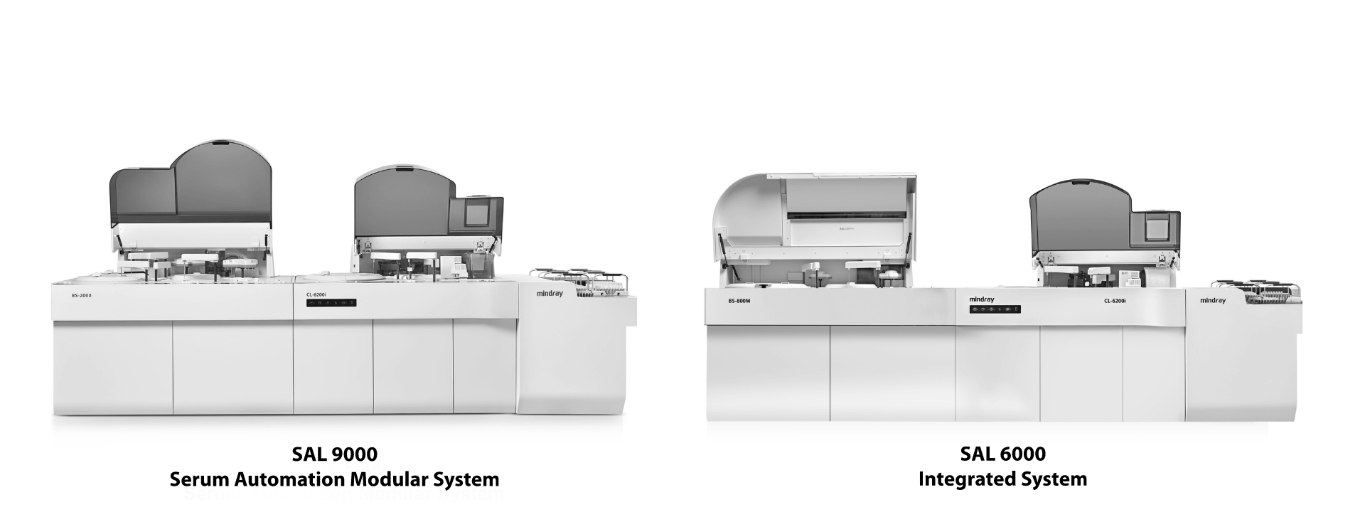 Technological advancements and emerging trends on Immunochemistry ...