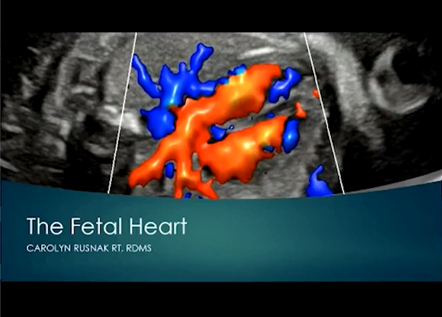 OB/GYN Virtual CME Conference