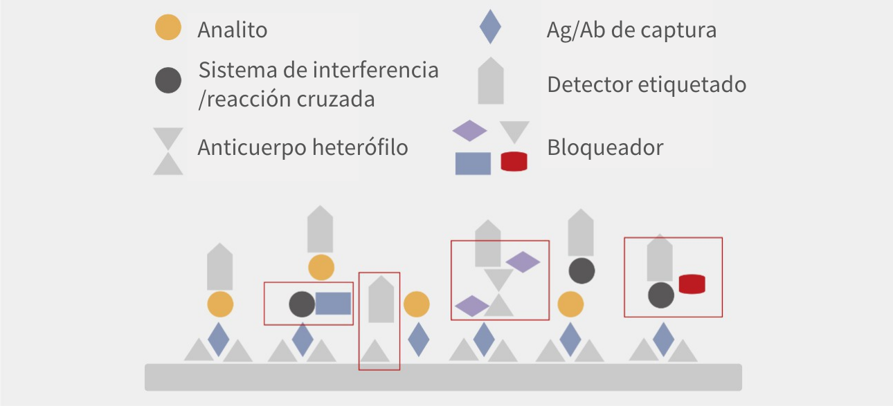 Mindray lanza el panel ToRCH de alta sensibilidad y alta especificidad ...