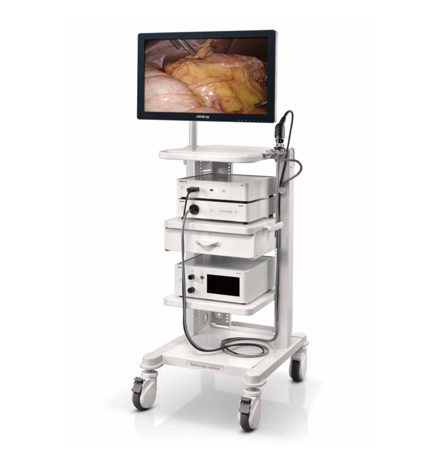 Asset download - Mindray