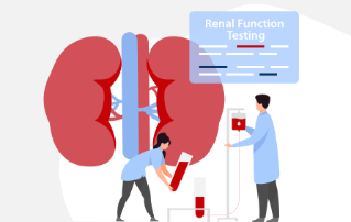 Comprehensive Renal Function Testing for Kidney Diseases - Mindray