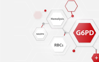 G6PD Deficiency and G6PD Activity Testing - Mindray