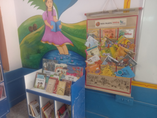 The Rajasthan School Library Promotion Project: Empowering Young Minds ...